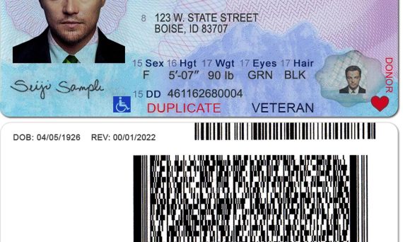 Idaho Fake Driver License - Buy Fake Id | Best Scannable Fake ID Online